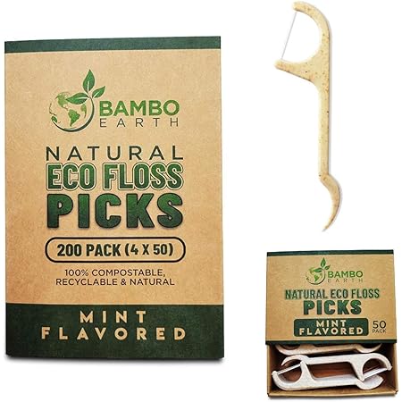 Amazon.com: Natural Dental Floss Picks - Eco Friendly Cruelty Free ...