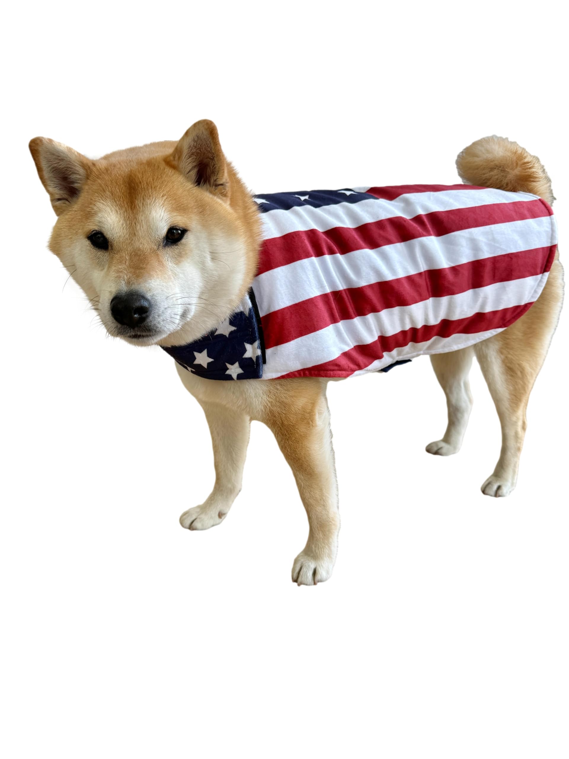 Amazon.com : ComfyCamper Fourth of July Outfit Dog Costume Uncle Sam ...