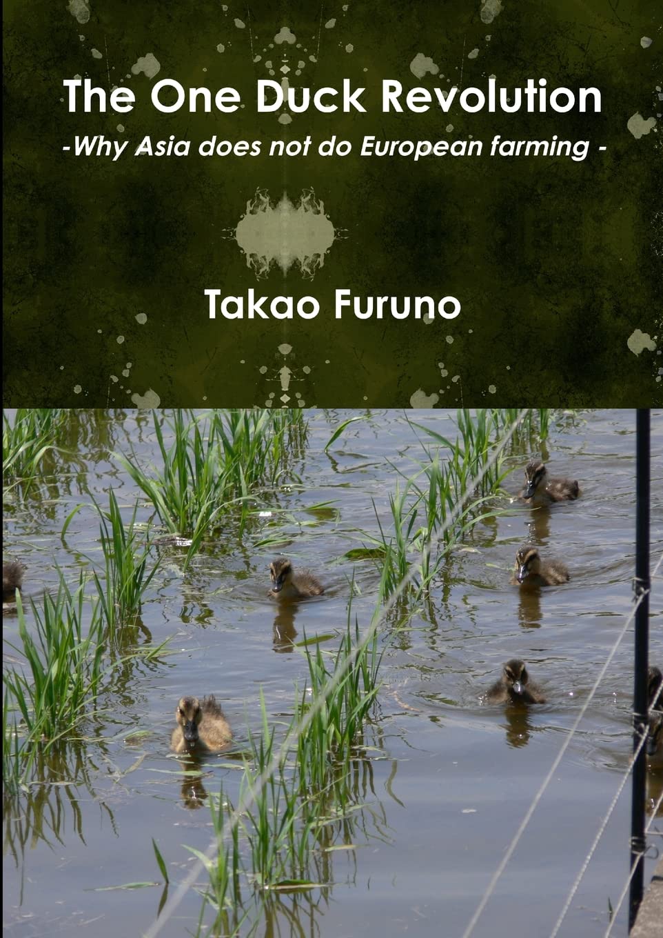 The One Duck Revolution: Furuno, Takao: 9781300076339: Amazon.com: Books