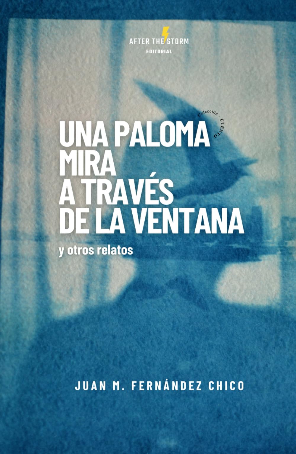 Amazon.com: Una paloma mira a través de la ventana: y otros relatos ...