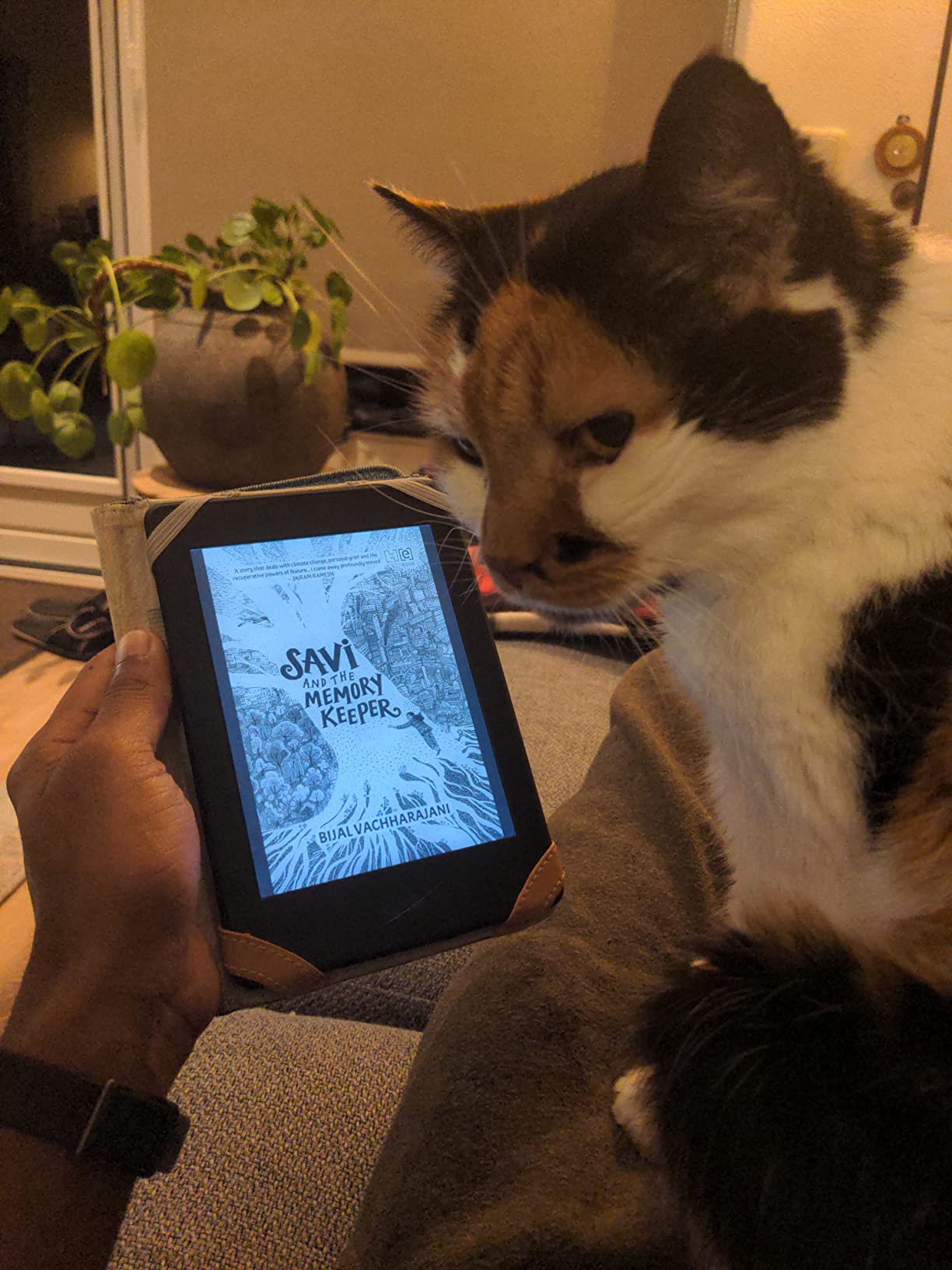 Buy SAVI AND THE MEMORY KEEPER Book Online at Low Prices in India ...