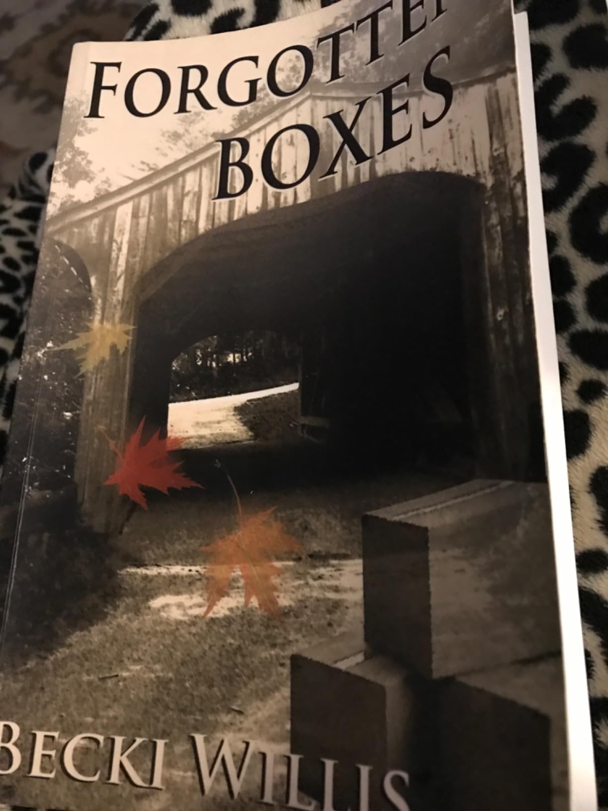 Amazon.com: Forgotten Boxes (Audible Audio Edition): Becki Willis ...