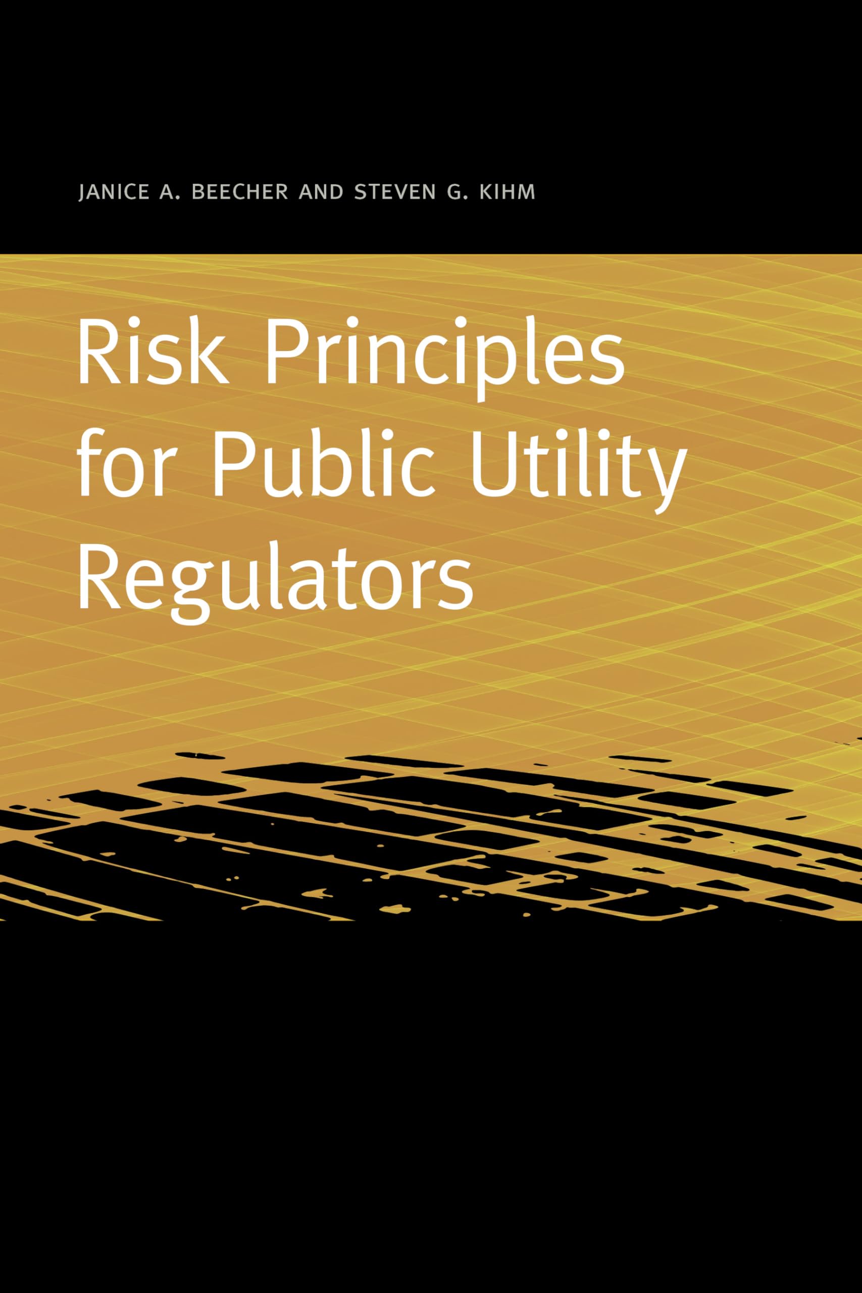 Risk Principles for Public Utility Regulators (Public Utility ...