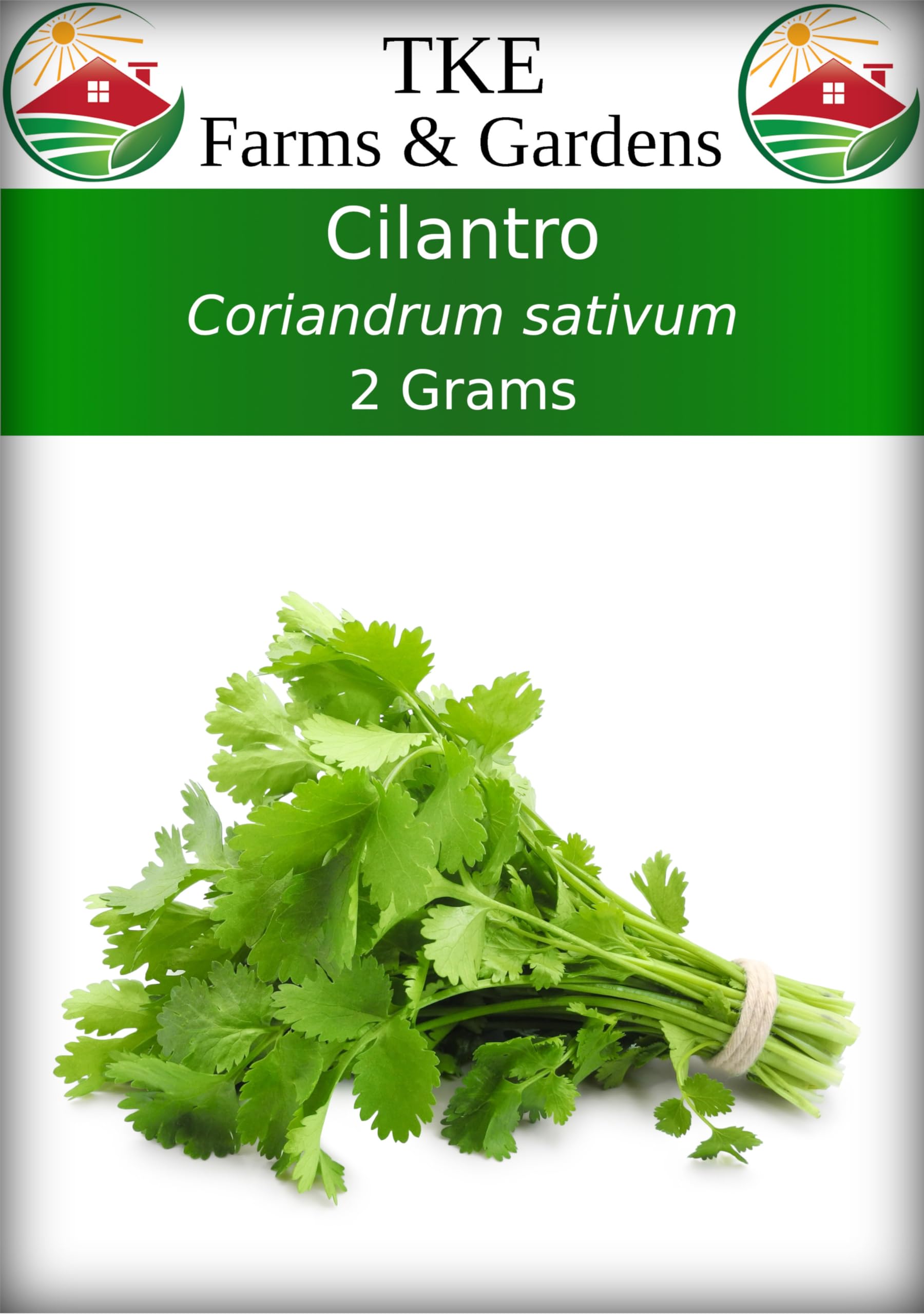Amazon.com : TKE Farms & Gardens - Cilantro Seeds for Planting, Slow ...