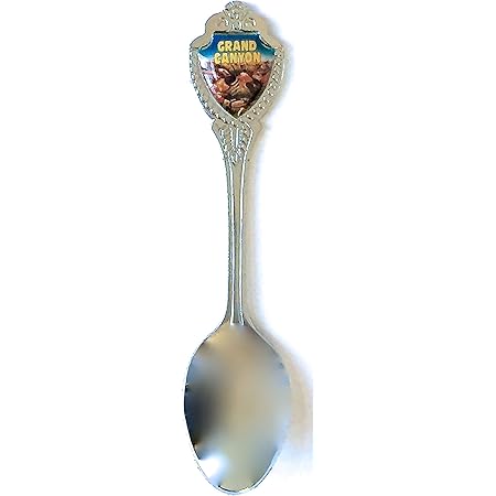 Amazon.com | Grand Canyon Arizona State Souvenir Collectible Mini Spoon ...