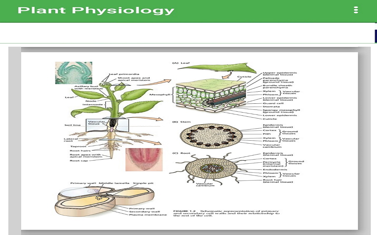 Plant Physiology - App on Amazon Appstore