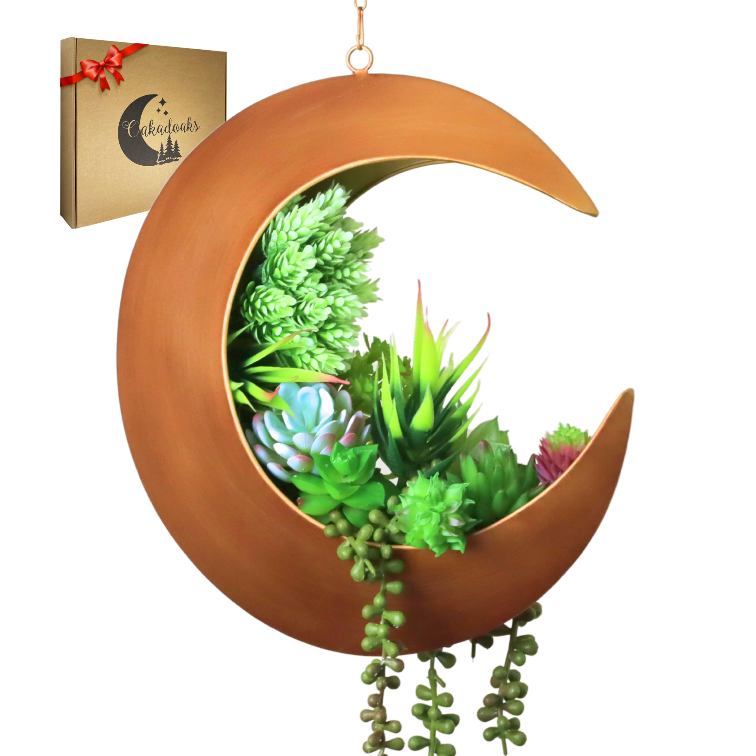 Amazon.com: Hanging Crescent Moon Planter - Moon Room Decor - Unique ...