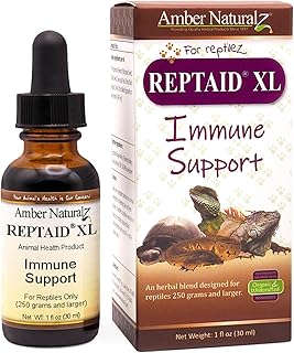 The Fascinating Way Lizards Breathe And Survive | PetShun