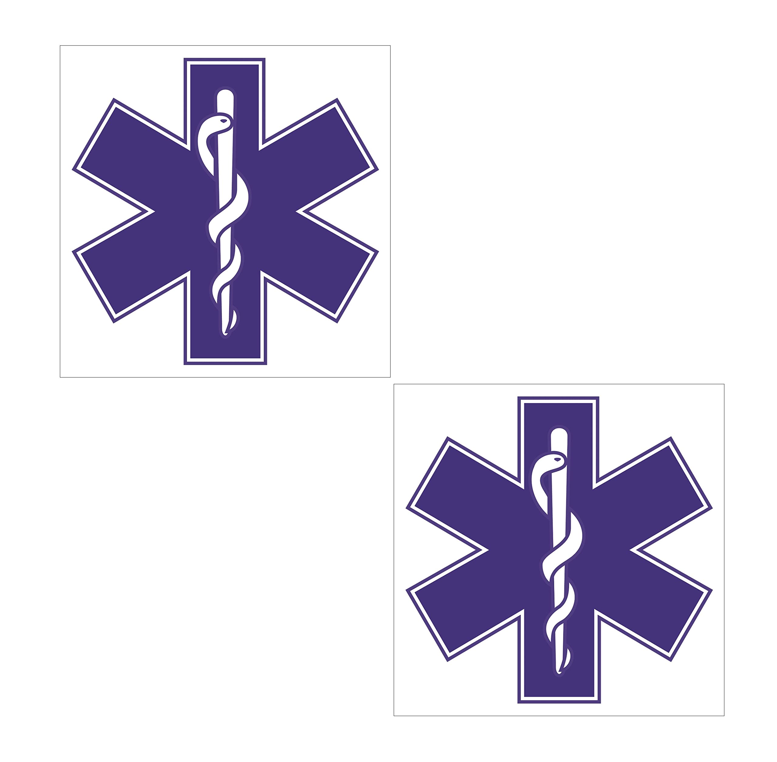 Amazon.com - Blue Star of Life Medical Alert Stickers (Pack of 2 ...