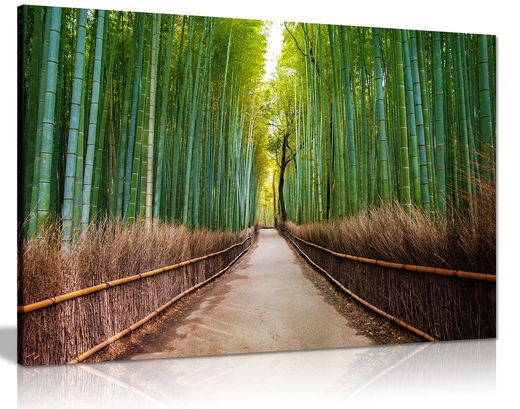 Amazon.com: Bamboo Forest Japan Green Trees Canvas Wall Art Picture ...
