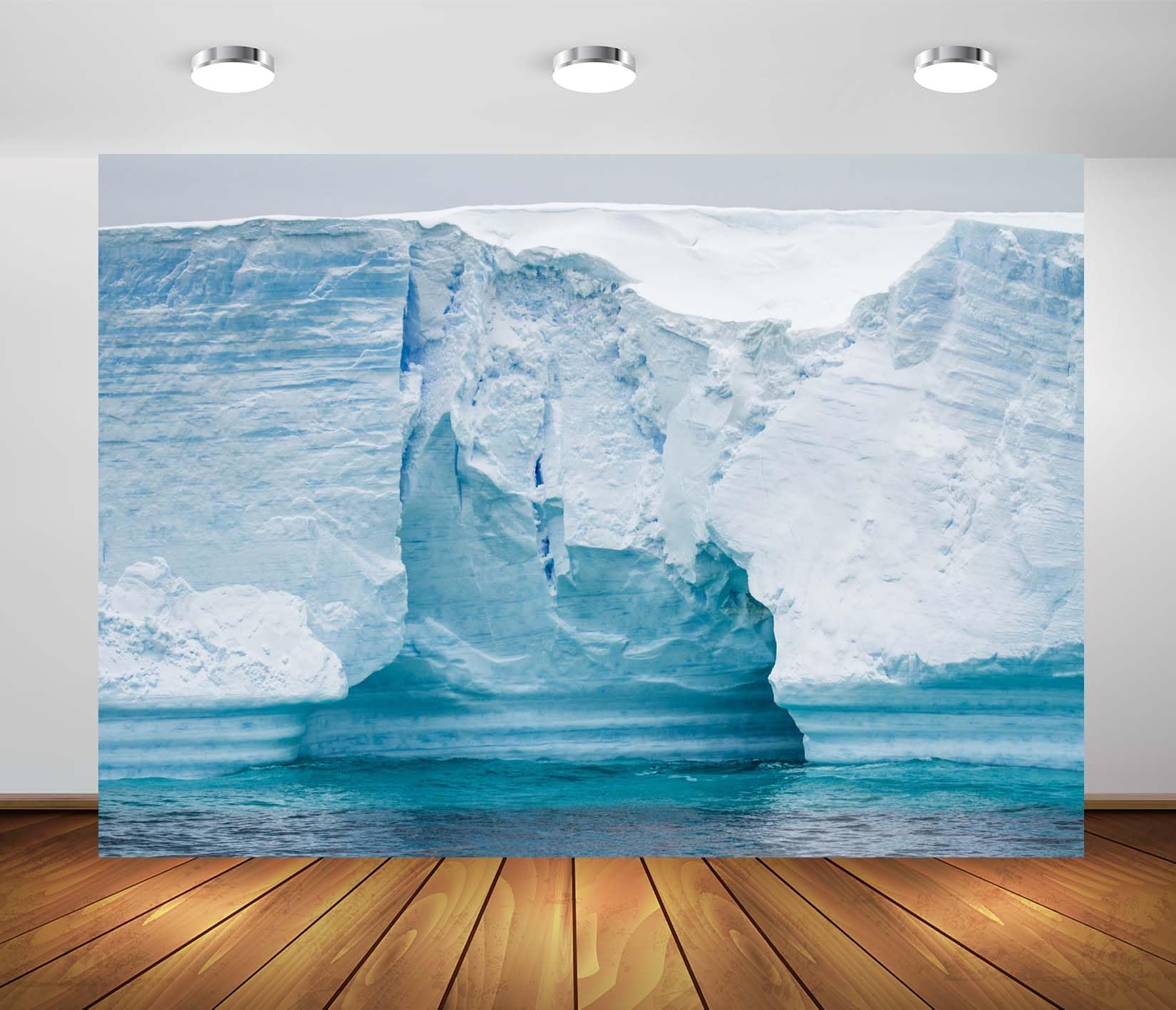 Amazon.com : BELECO 8x6ft Fabric Antarctica Iceberg Backdrop Polar ...