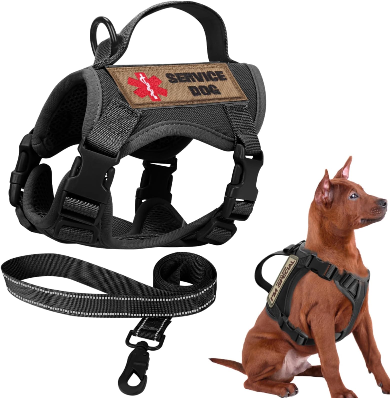 Amazon.com : Hanshengday Tactical Dog Harness for Small Dogs, Military ...
