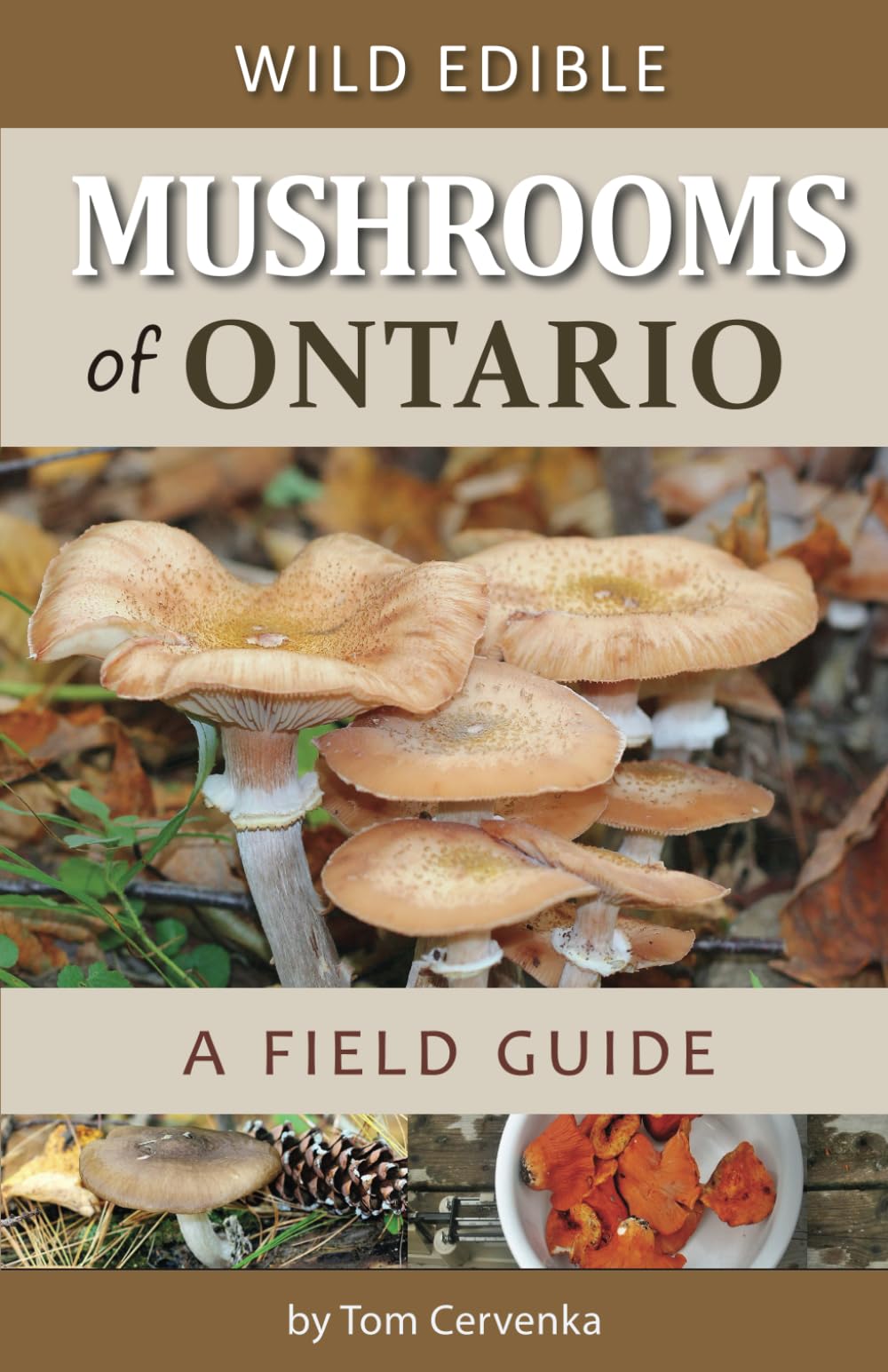 Wild Edible Mushrooms of Ontario: A Field Guide (Wild Edibles of ...