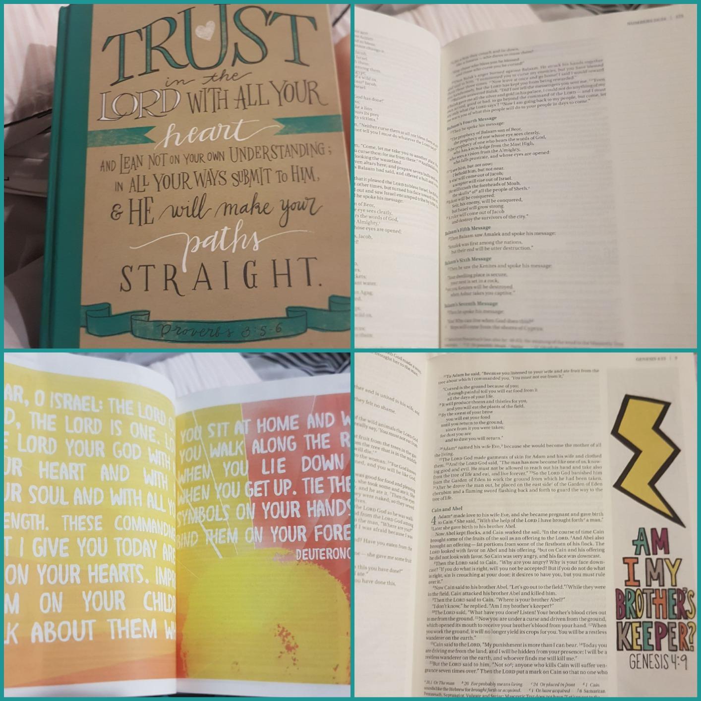 NIV, Beautiful Word Bible, Hardcover: 500 Full-Color Illustrated Verses ...