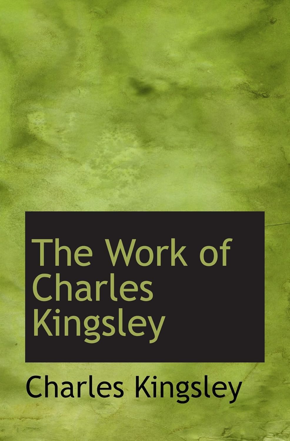 Amazon.com: The Work of Charles Kingsley: 9781117397115: Kingsley ...