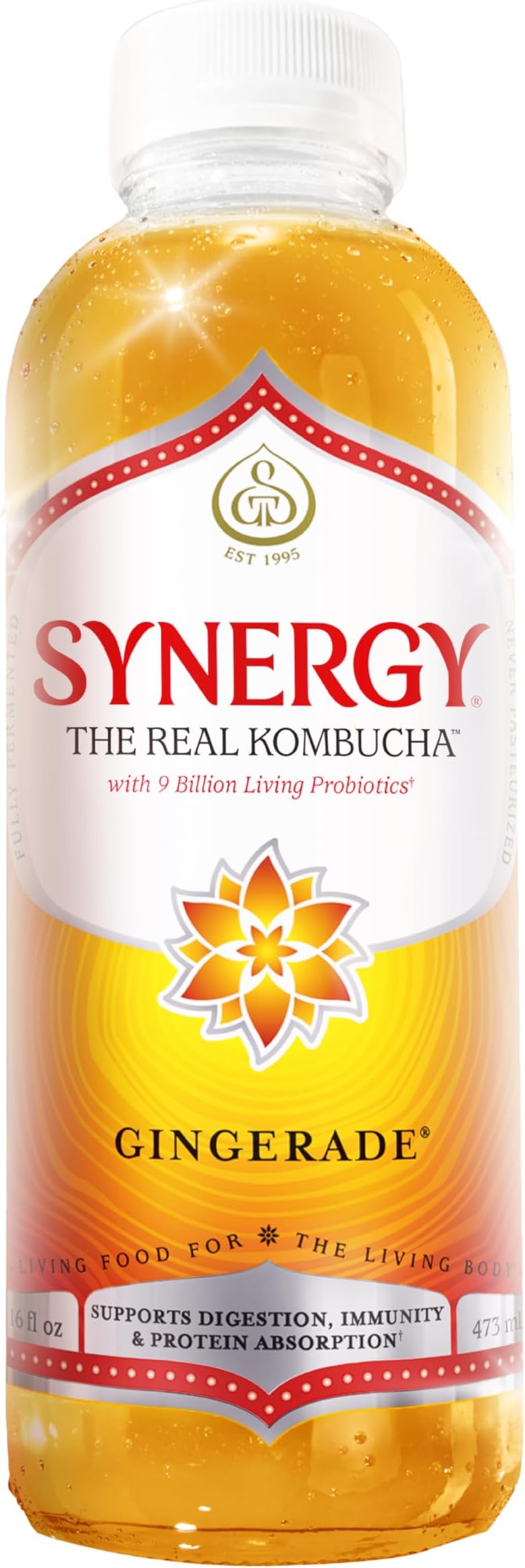 Synergy The Real Kombucha Gingerade 16 Fl Oz Bottle Raw | Desertcart INDIA