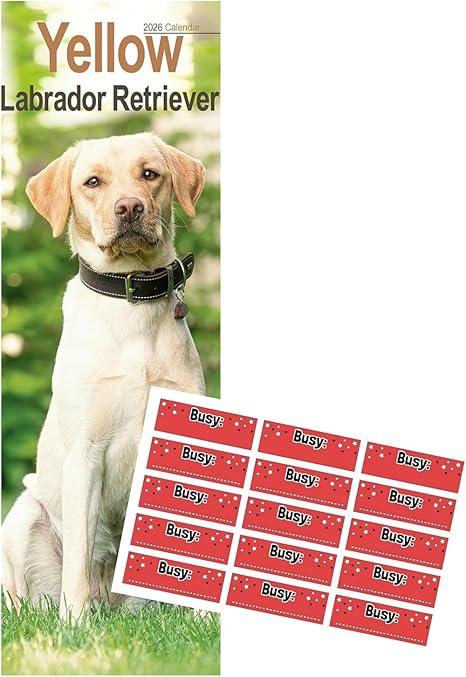 Yellow Labrador Retriever Calendar 2026 Slimline Calendar with FREE ...