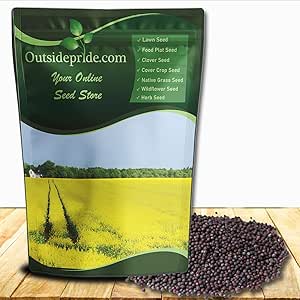 Amazon.com : Outsidepride Trophy Forage Rape Seed - 1 Lb Heat, Cold ...