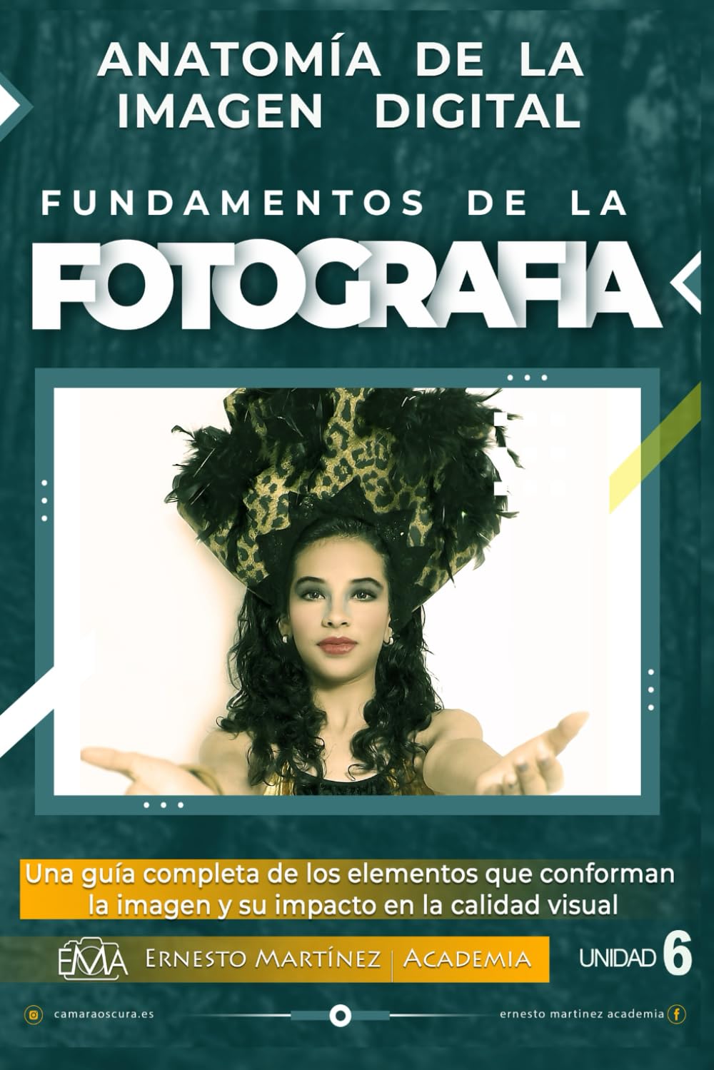 Anatomía de la Imagen Digital: Una guía completa de los elementos que ...