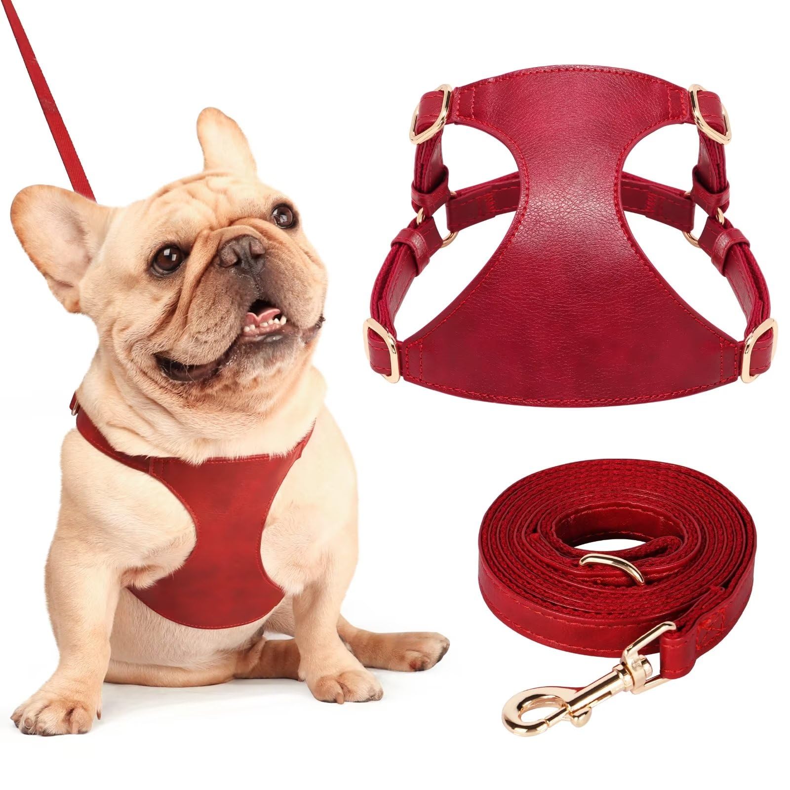 Amazon.com : Didog No Pull Dog Harness for Small Dogs, Soft ...