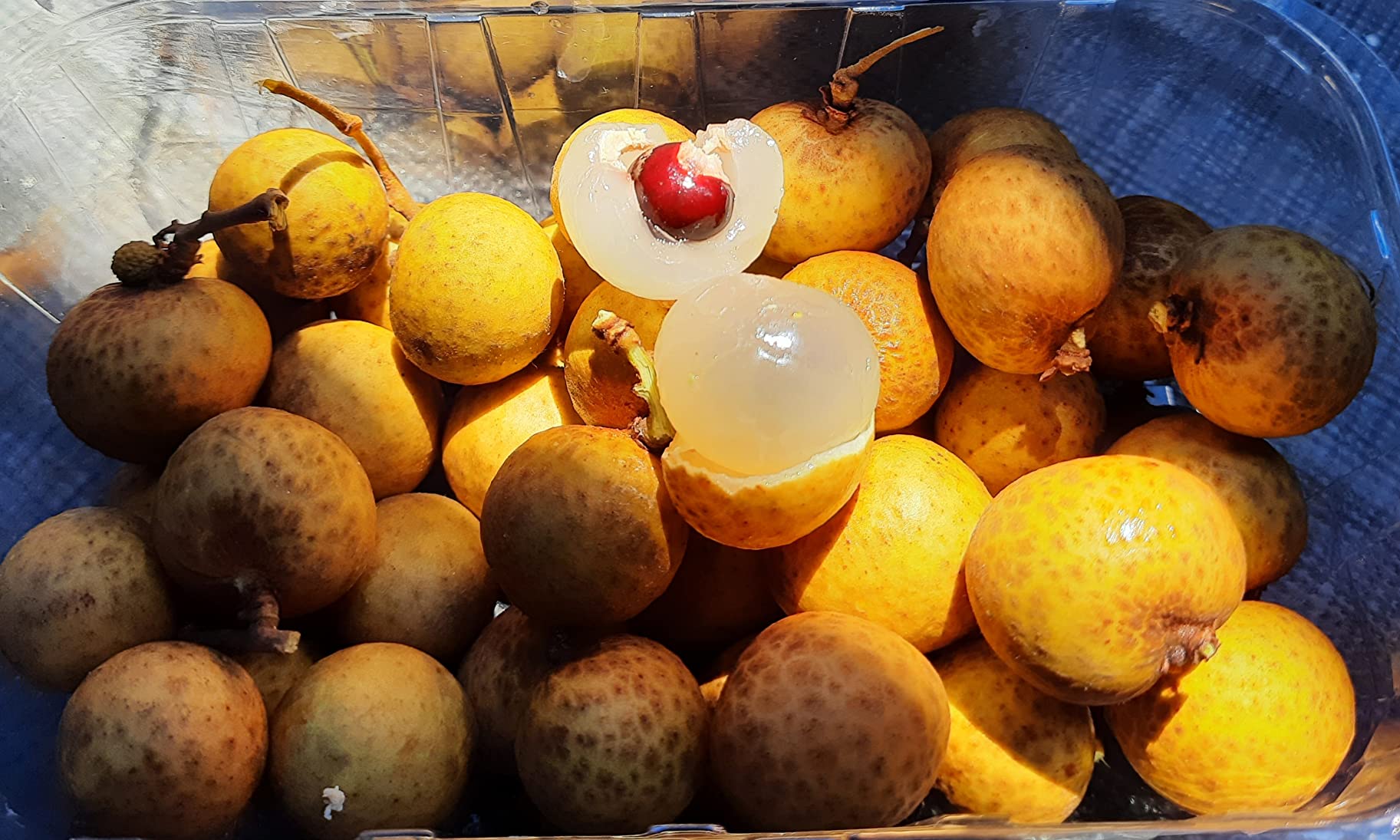 Fresh Longan, 500g : Amazon.in: Grocery & Gourmet Foods