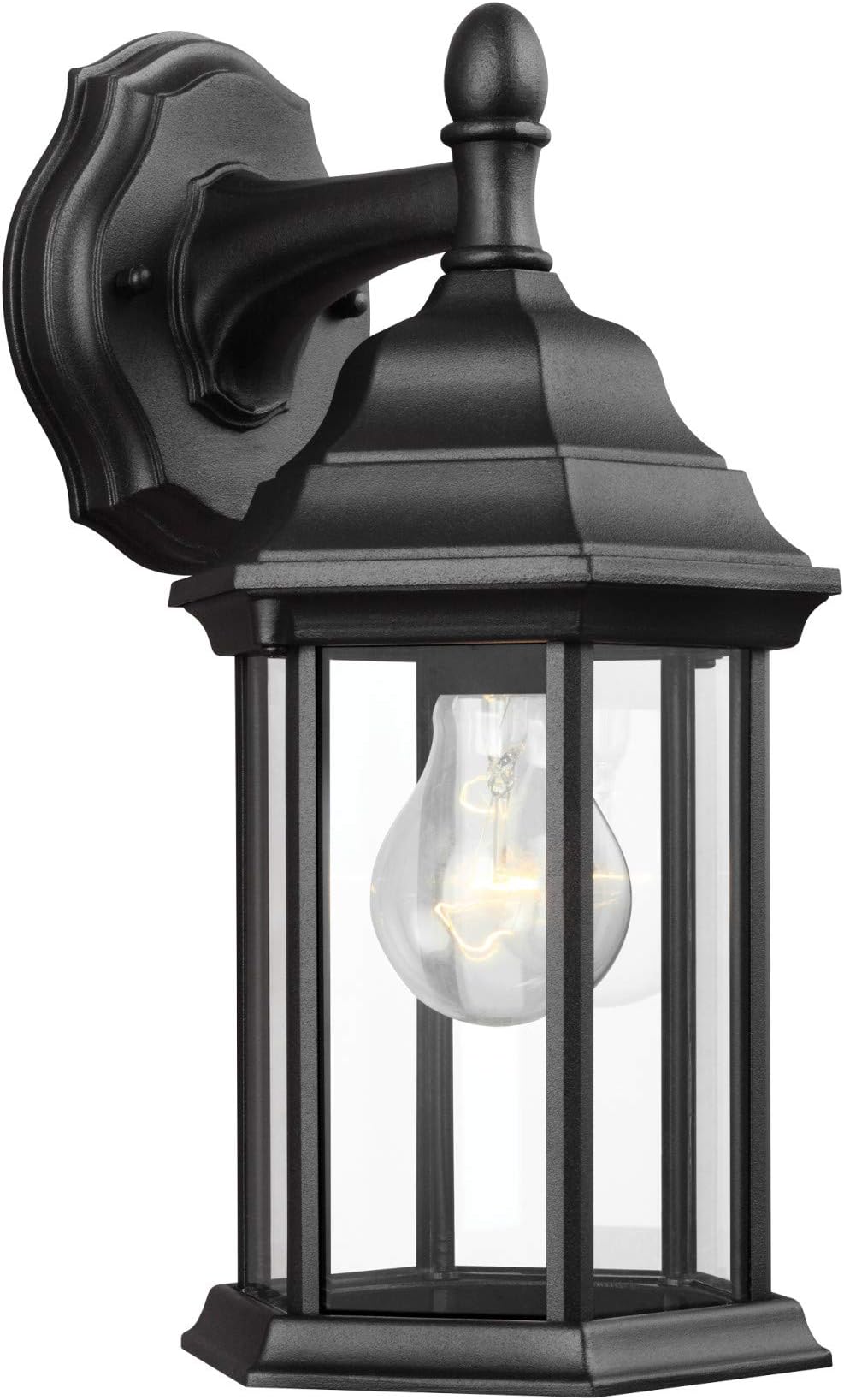 Sea Gull Lighting Generation 8338701-12 Transitional One Light Outdoor ...