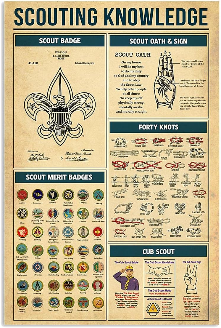 Amazon.com : Scouting Retro Metal Tin Signs Scouting Knowledge Printing ...