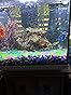 Interpet Aqua Cube Glass Fish Tank Aquarium with Integrated LED ...
