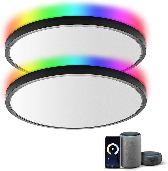 TALOYA 2 Pack Black Smart Ceiling Light Flush Mount LED WiFi ...