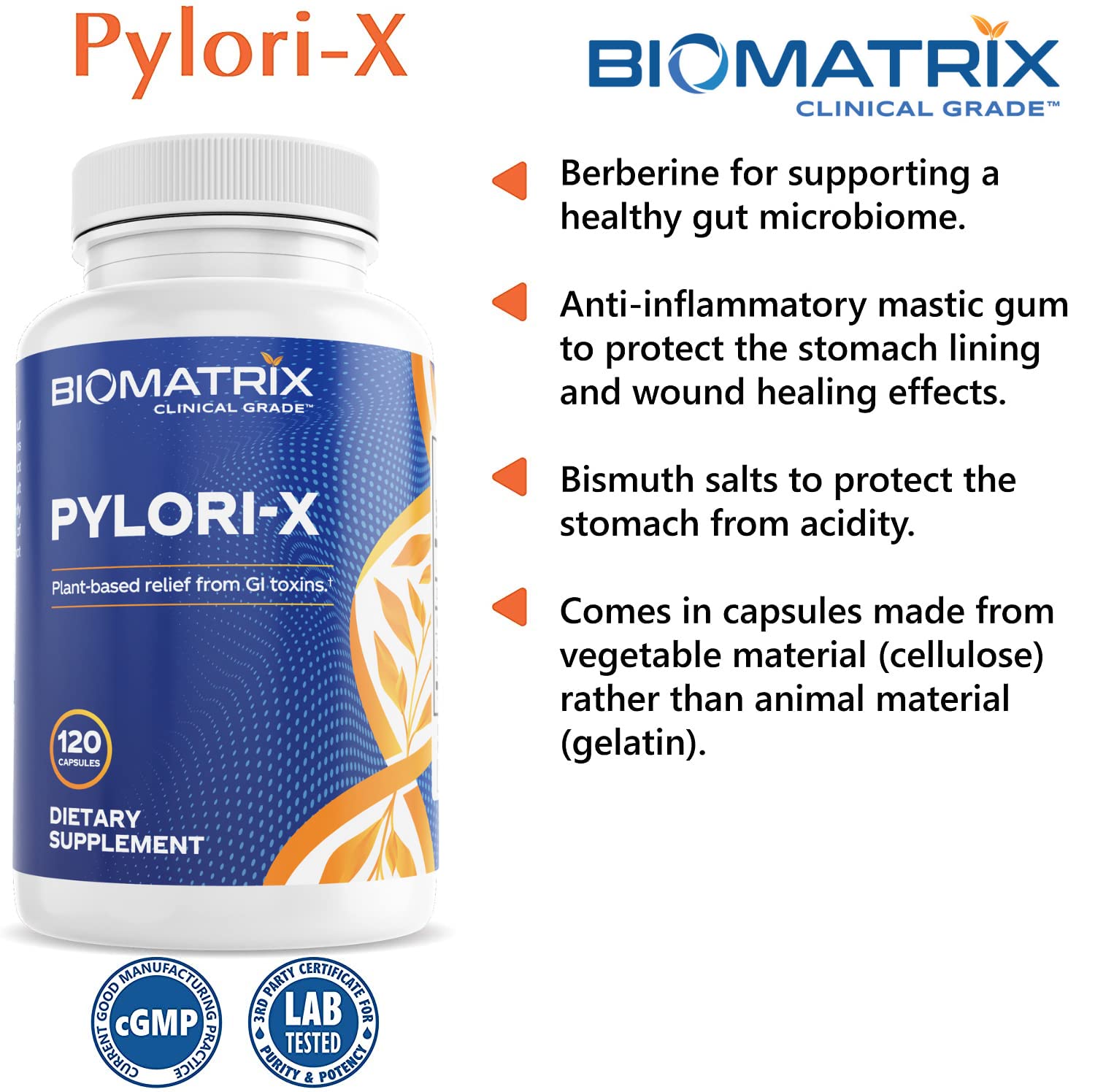 Pylori-X Mastic Gum - Fight & Defend Against H. Pylori, Gastric Acid ...