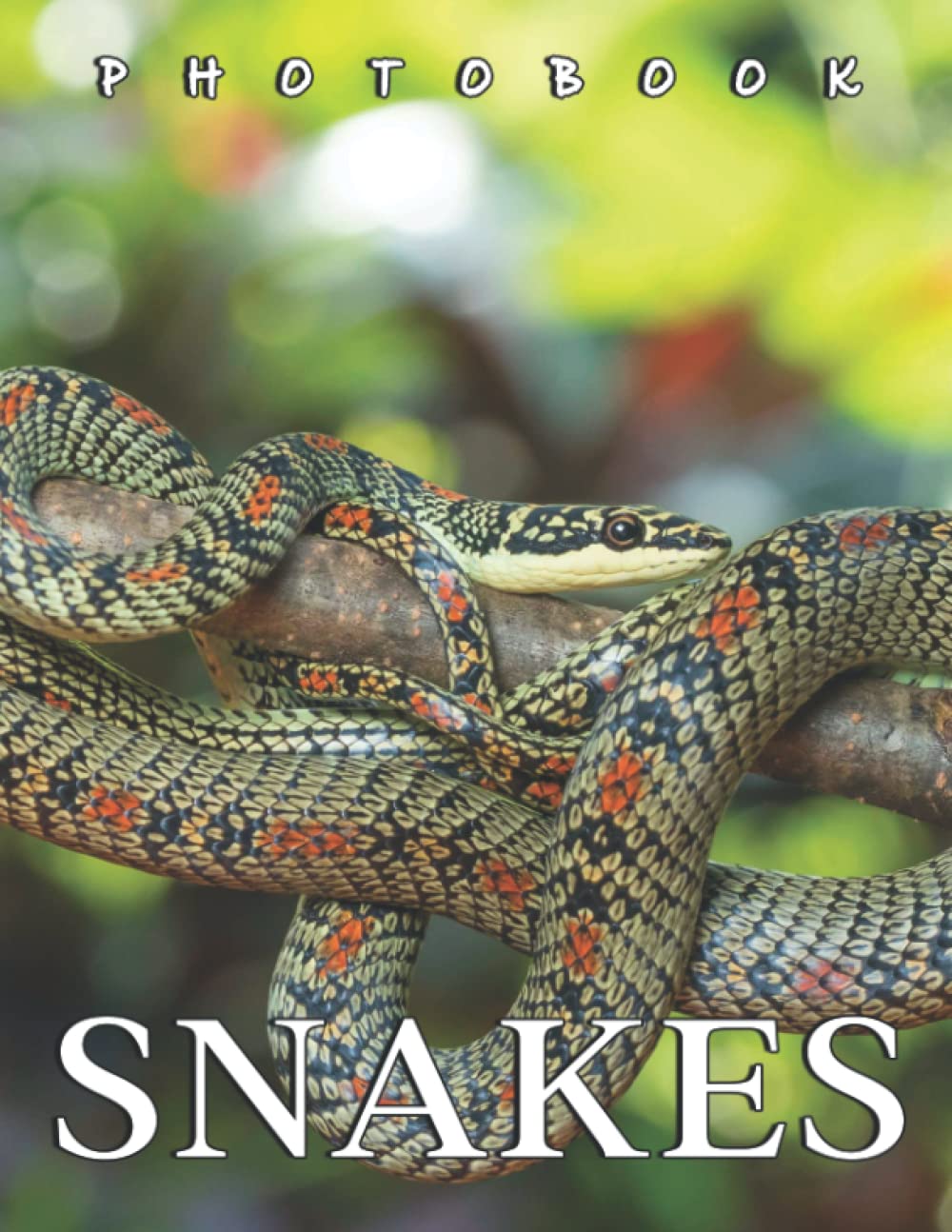 The Picture Book Of Snakes: Compelling Photos Collection Of Snakes As A ...