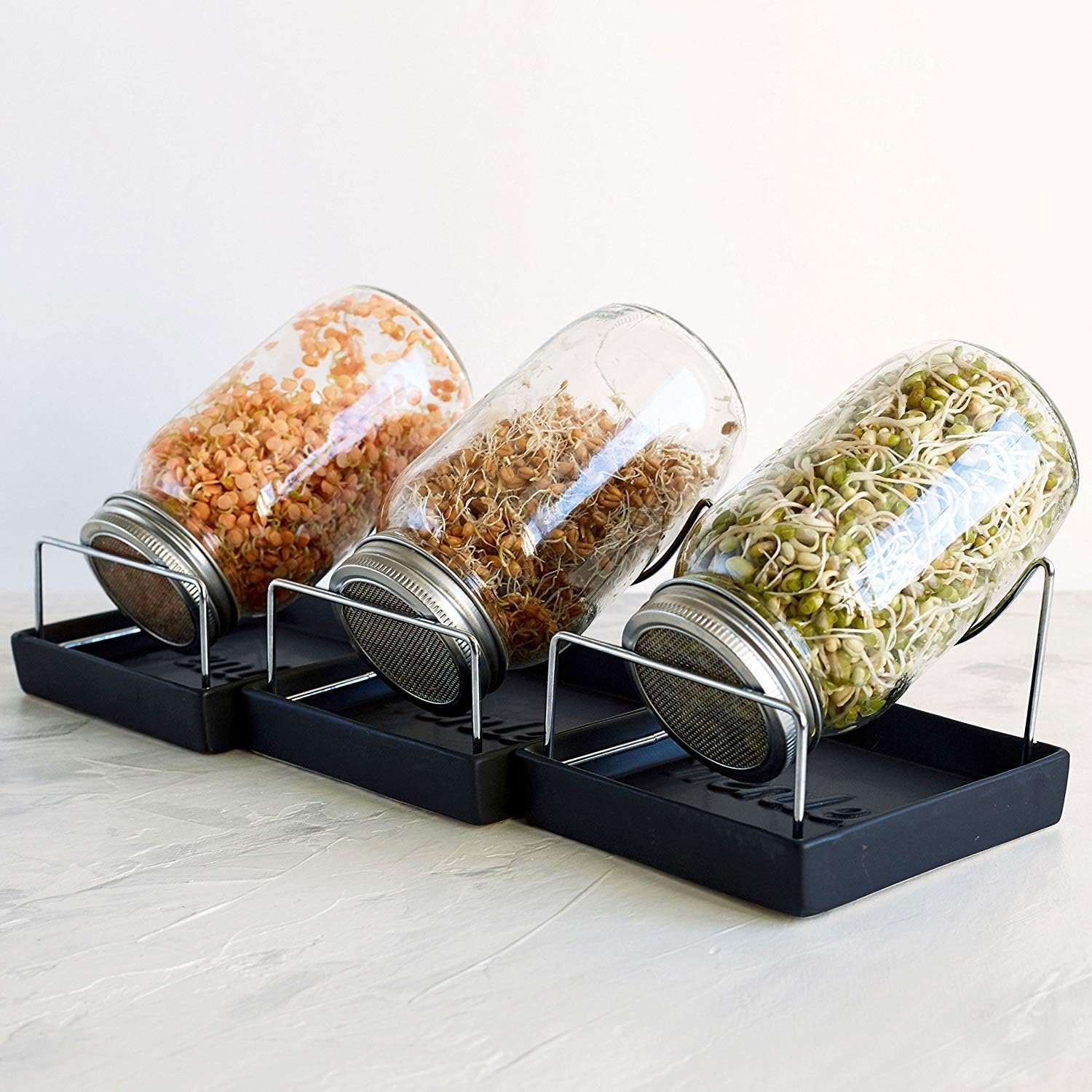 Amazon.com : Seed Sprouting Jar Kit - 3 Sprouter Mason Jars with Screen ...