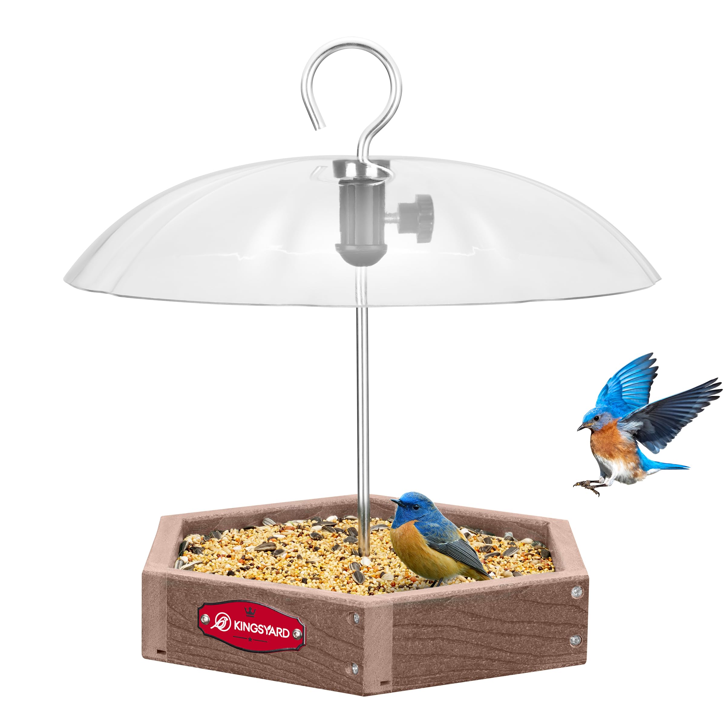 Amazon.com : Kingsyard Platform Bird Feeder for Outdoor Hanging ...