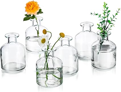 Amazon.de: Glasseam Kleine Blumenvase Glas Modern: 6er Durchsichtig Mini Vasen Set Glasvase ...