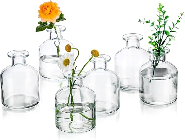 Amazon.de: Glasseam Kleine Blumenvase Glas Modern: 6er Durchsichtig Mini Vasen Set Glasvase ...
