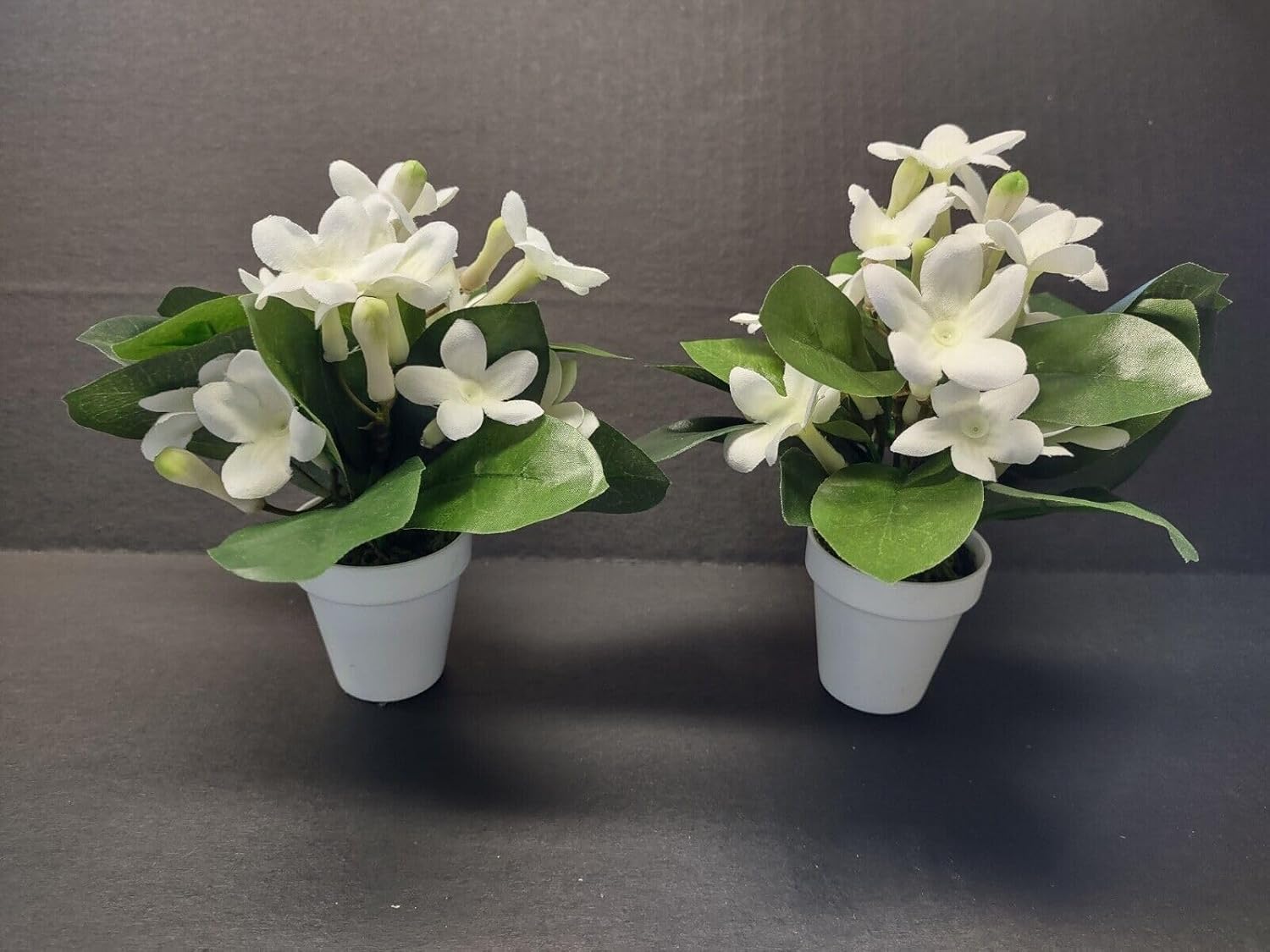Amazon.com: Cute Artificial Mini Stephanotis Flower Arrangements in 2 ...