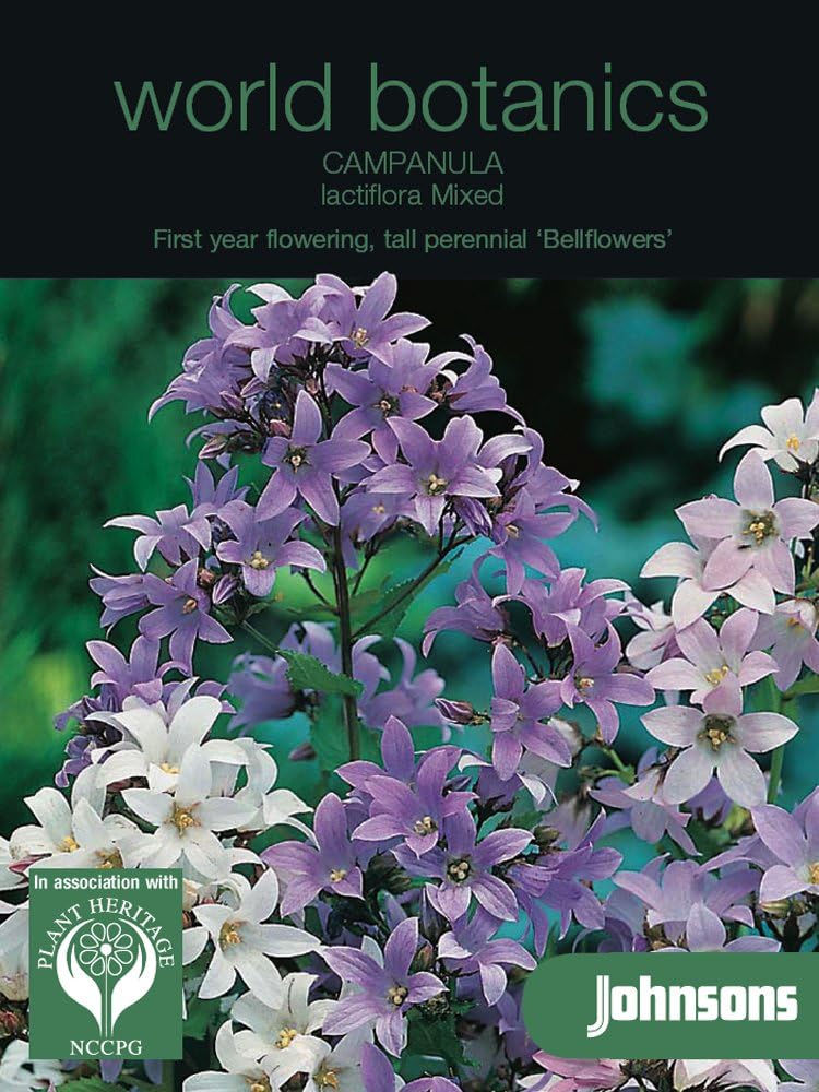 Amazon.co.jp: 英国ミスターフォザーギルズシード＆ジョンソンシード World Botanics Campanula ...