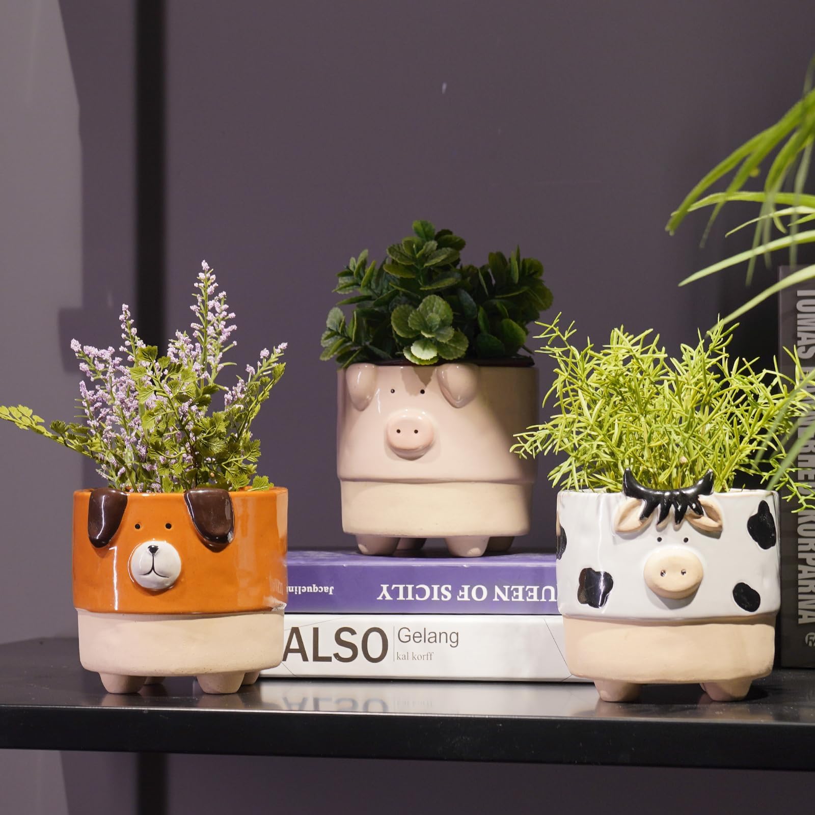 Amazon.com : Koowants 2PCS Small Size Succulent Pig Plant Pot,Animal ...