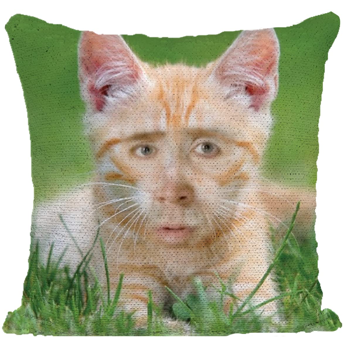 Cat Nicolas Cage My Cat Loves Nick Cage : R/cats