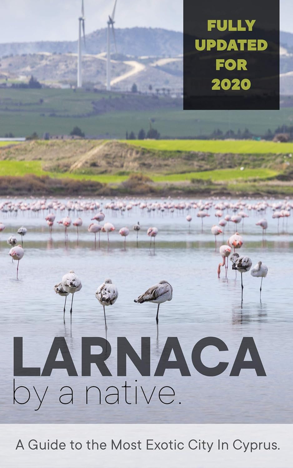 Amazon.com: Larnaca By A Native: A Guide to the Most Exotic City in ...