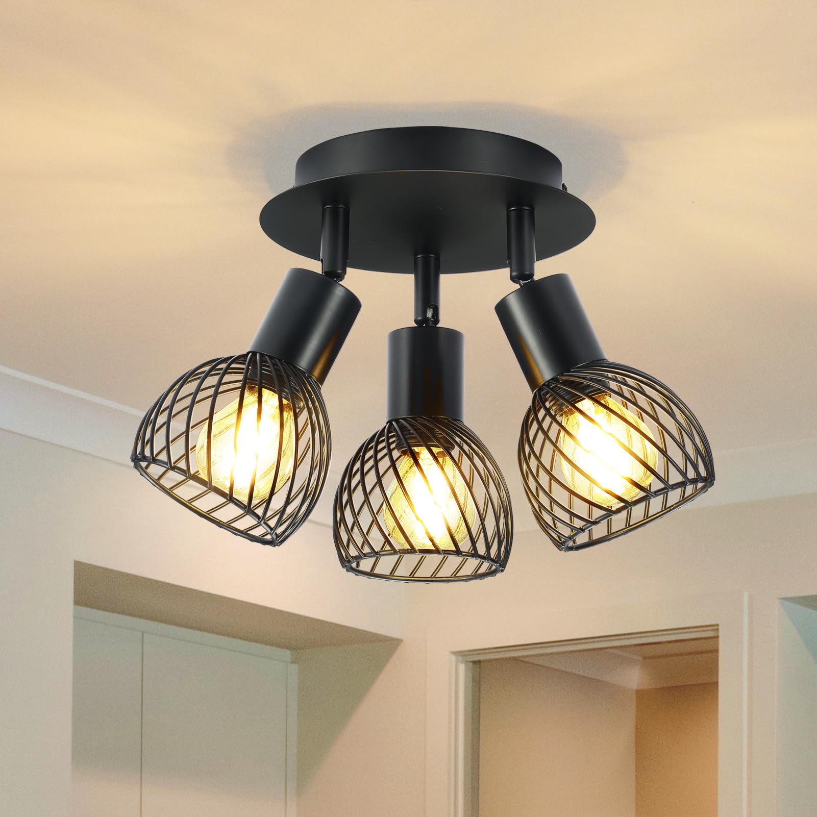 Wire Cage Light Fixtures Lighting Black Metal Cage Lampshade For