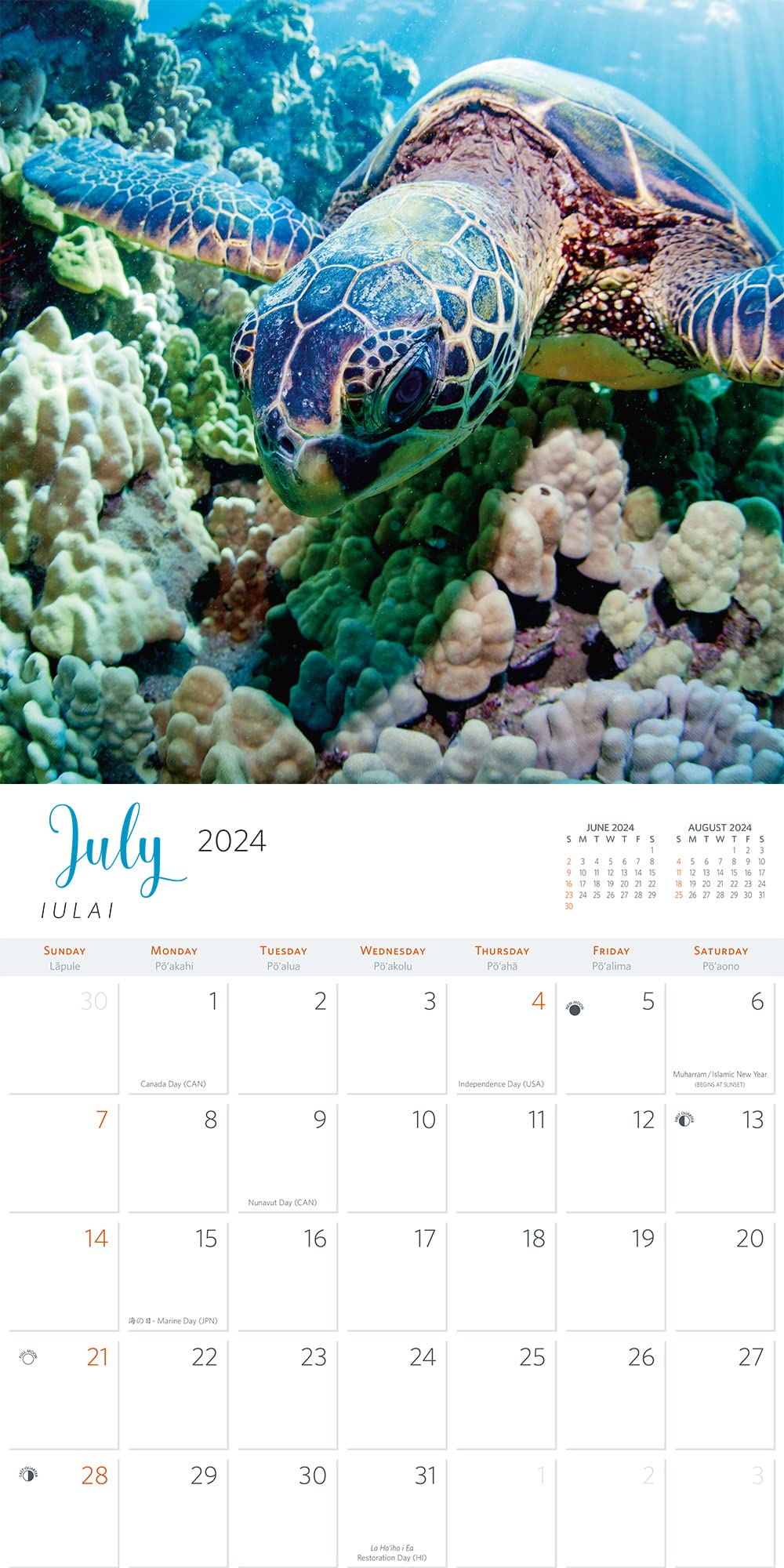Hawaiian Boy Calenders
