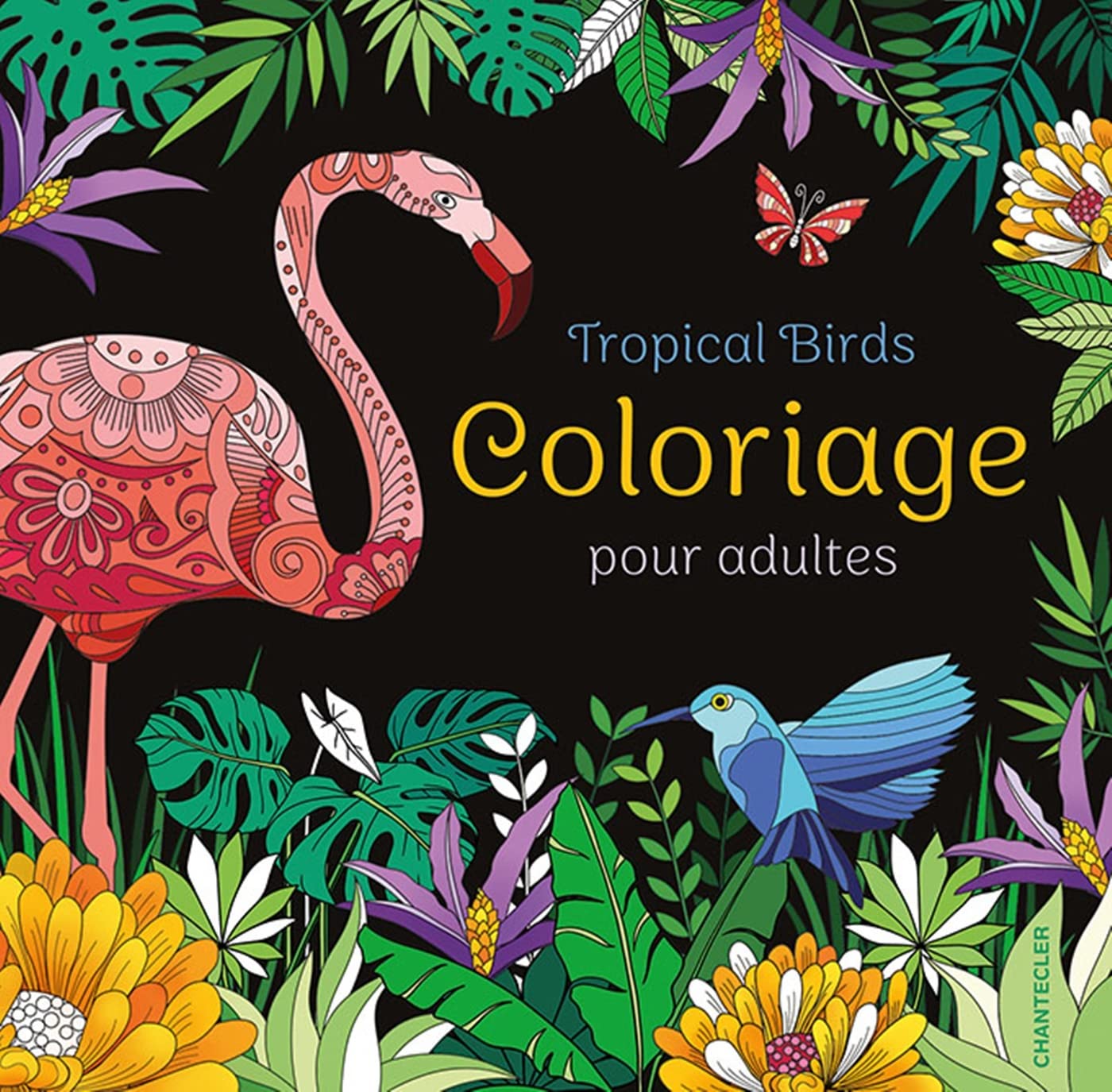 Coloriages Tropicaux Images De Coloriage Tropical – Téléchargement