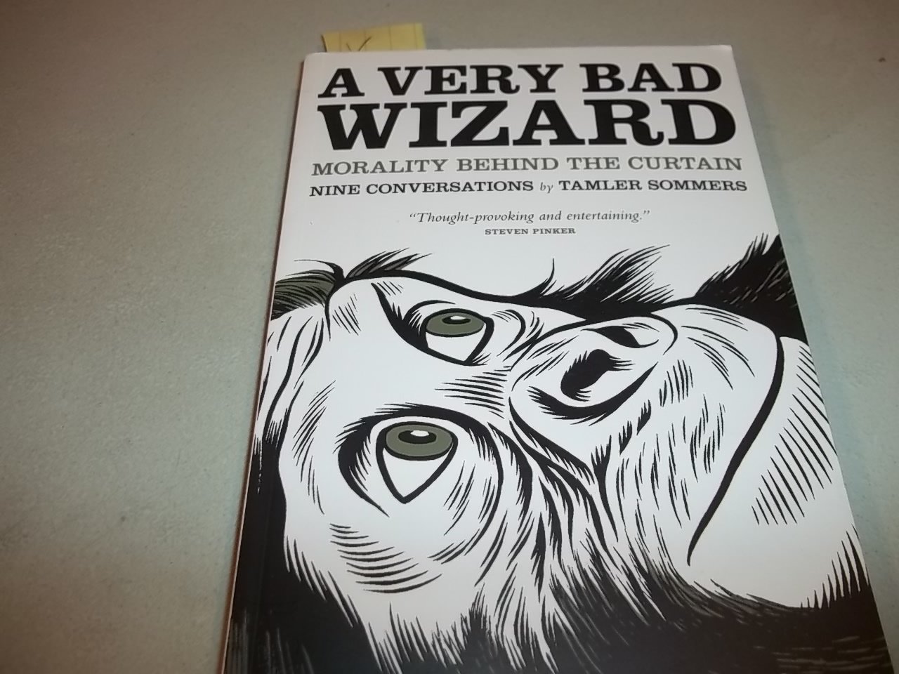 A Very Bad Wizard: Morality Behind the Curtain: Sommers, Tamler ...