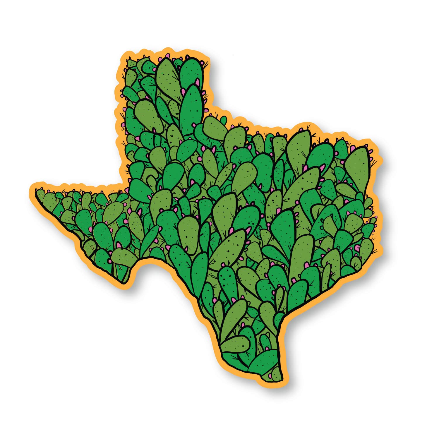 Amazon.com - State of Texas Cactus Decal Bumper Sticker Bundle for Cars ...