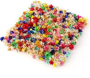 Amazon | LIKENNY ドライフラワー 200個入り スターフラワー レジン用 ミニ 小さい 花 押し花 材 ネイル ペンダント DIY 手芸 クラフト 素材 おしゃれ アソート ...