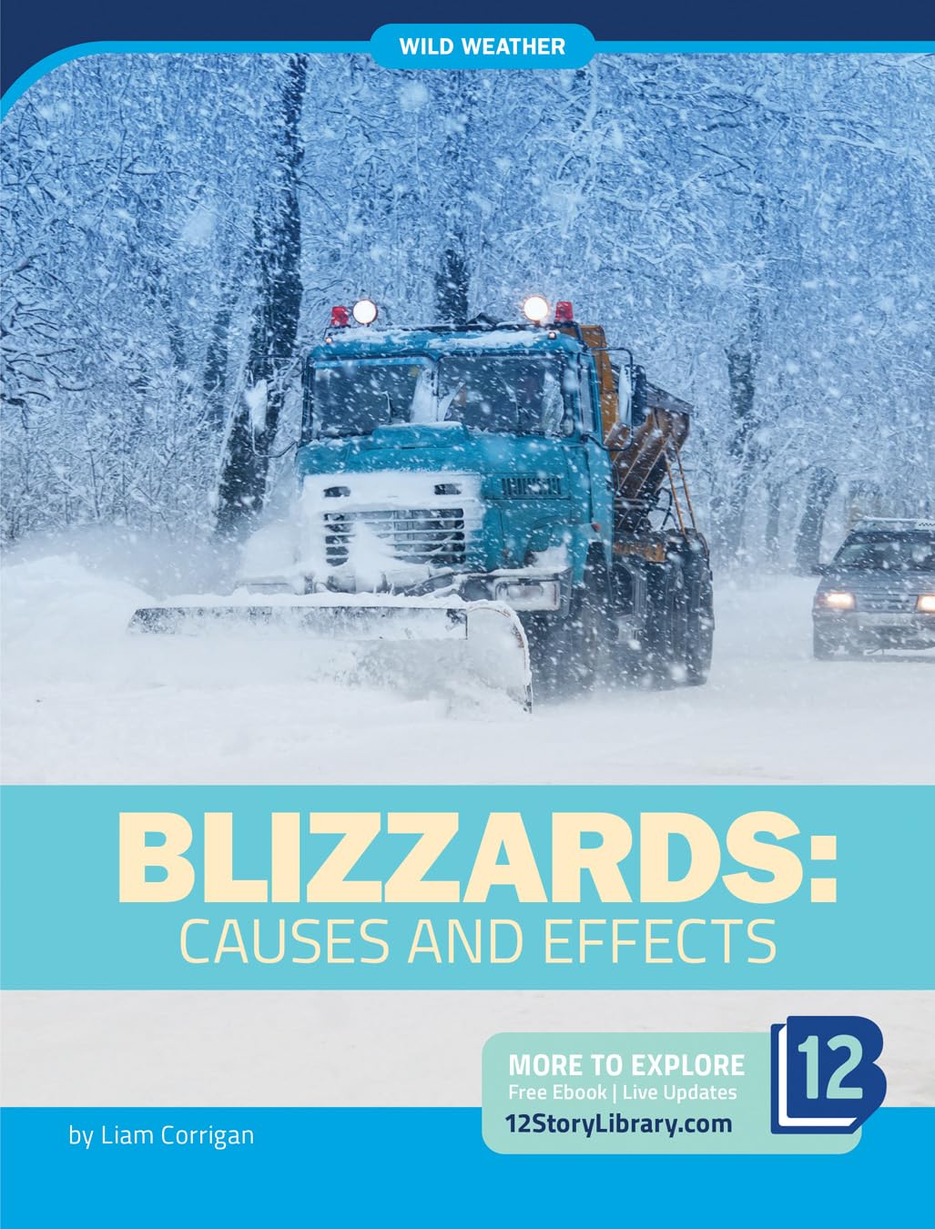 Blizzards: Causes and Effects (Wild Weather) : Corrigan, Liam: Amazon ...