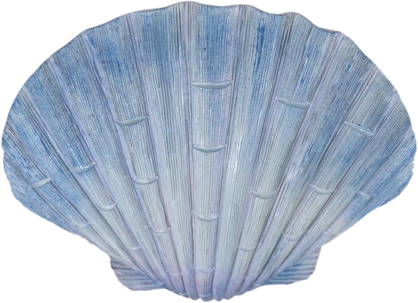 Amazon.com: Ebros Gift Nautical Ocean Marine Life Aqua Blue Scallop ...