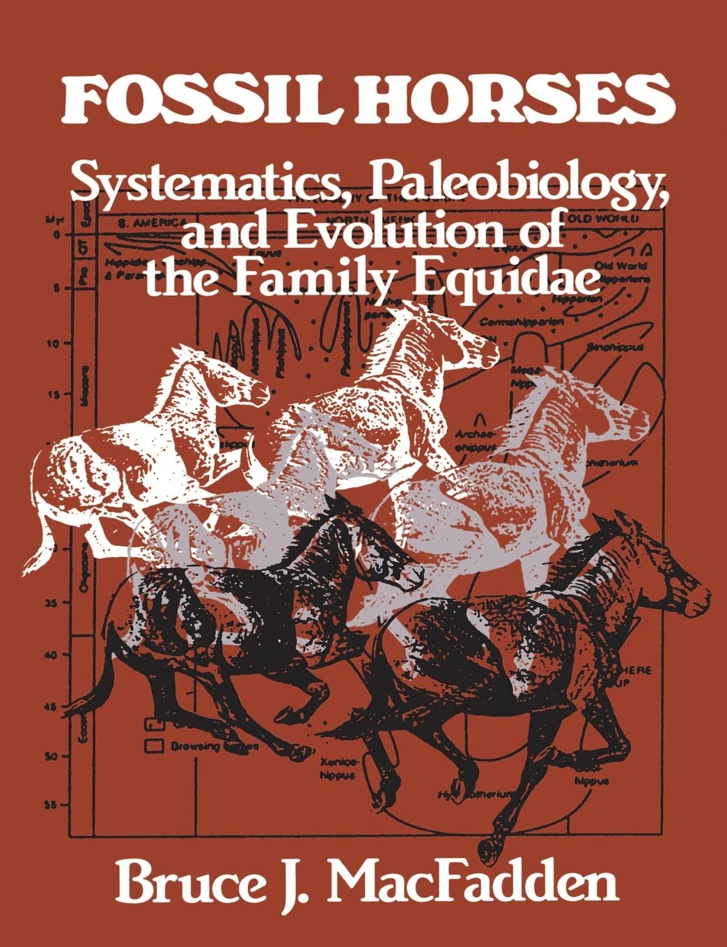Fossil Horses: Systematics, Paleobiology, and Evolution of the Family ...