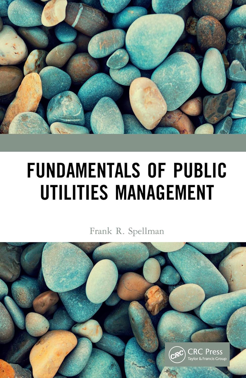 Amazon.com: Fundamentals of Public Utilities Management eBook ...